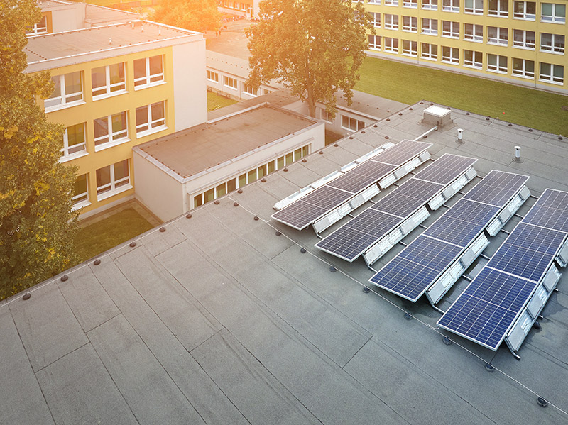 4 Ways to Reduce Carbon Emissions in the Classroom- Epson Australia