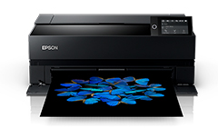 Where To Buy Epson SureColor P906 - Epson Australia